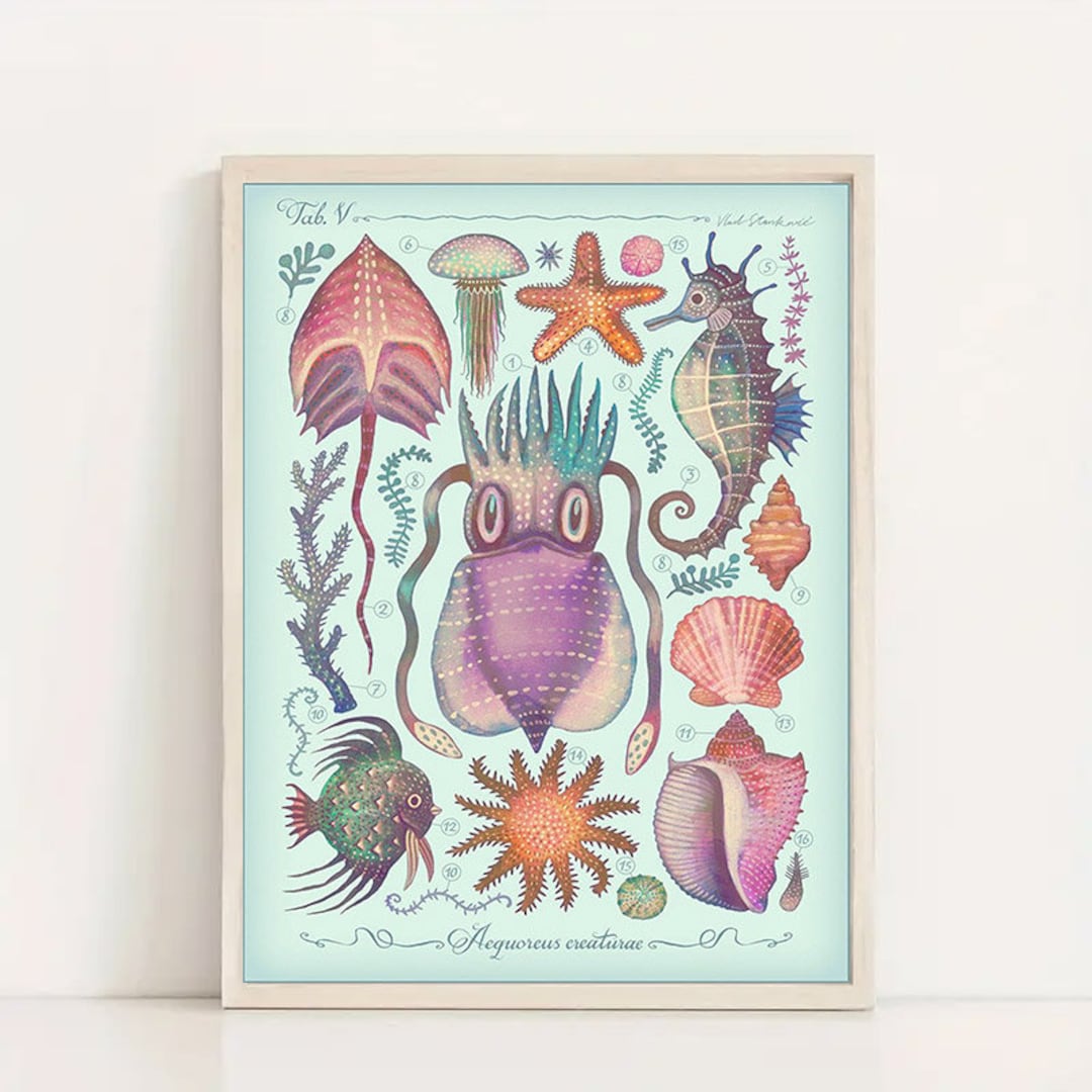 Sea Creature Animals Marine Life Poster Biology Sea Life - Etsy
