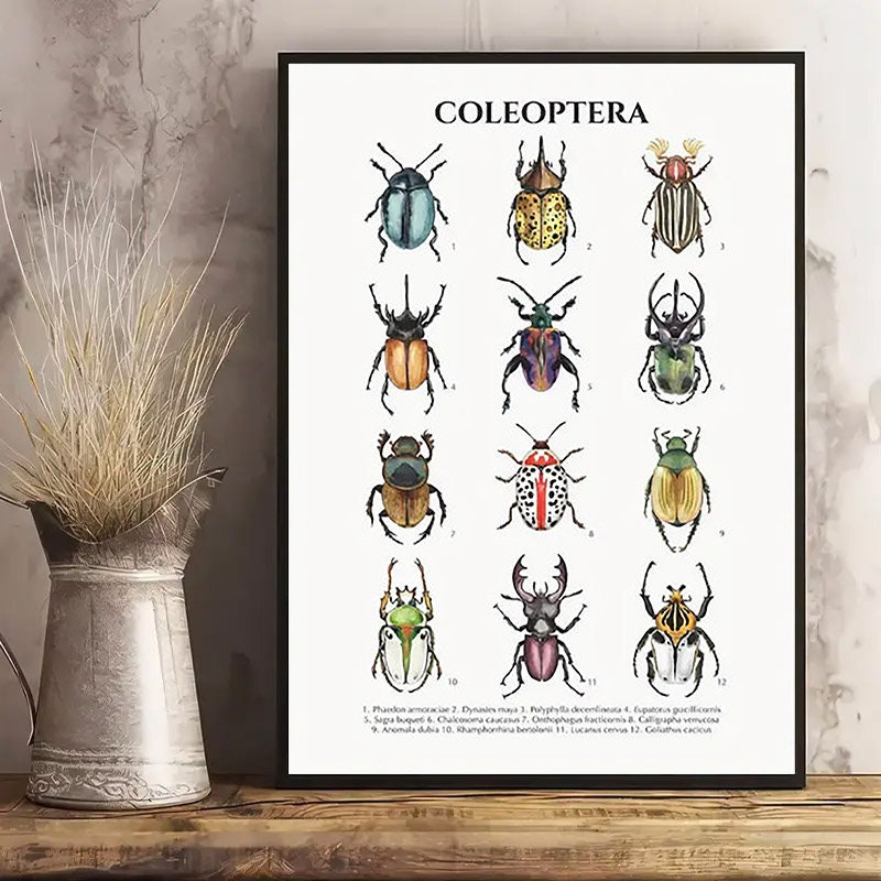 Coleoptera Beetles Poster Beetles Wall Art Decor Insects - Etsy