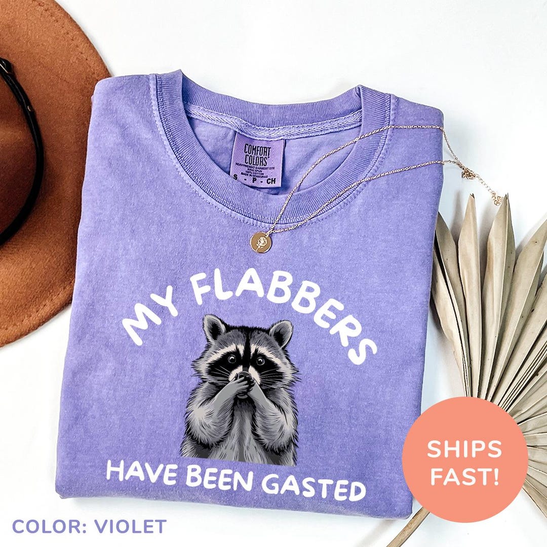 Comfort Colors® My Flabbers Have Been Gasted Shirt Funny Humor Shirt ...
