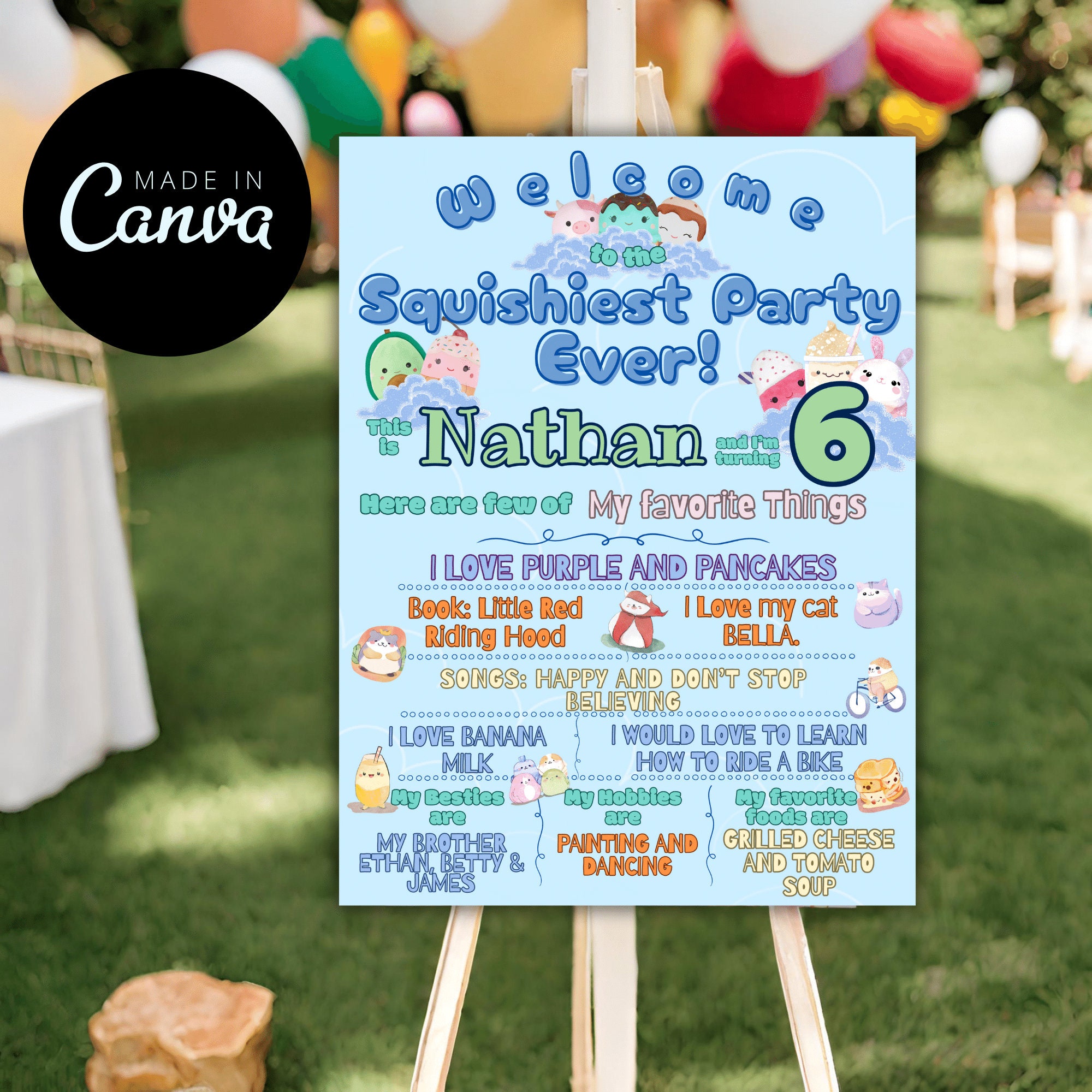 Squishmallow Birthday Boy Welcome Sign Template- Blue Welcome Sign ...