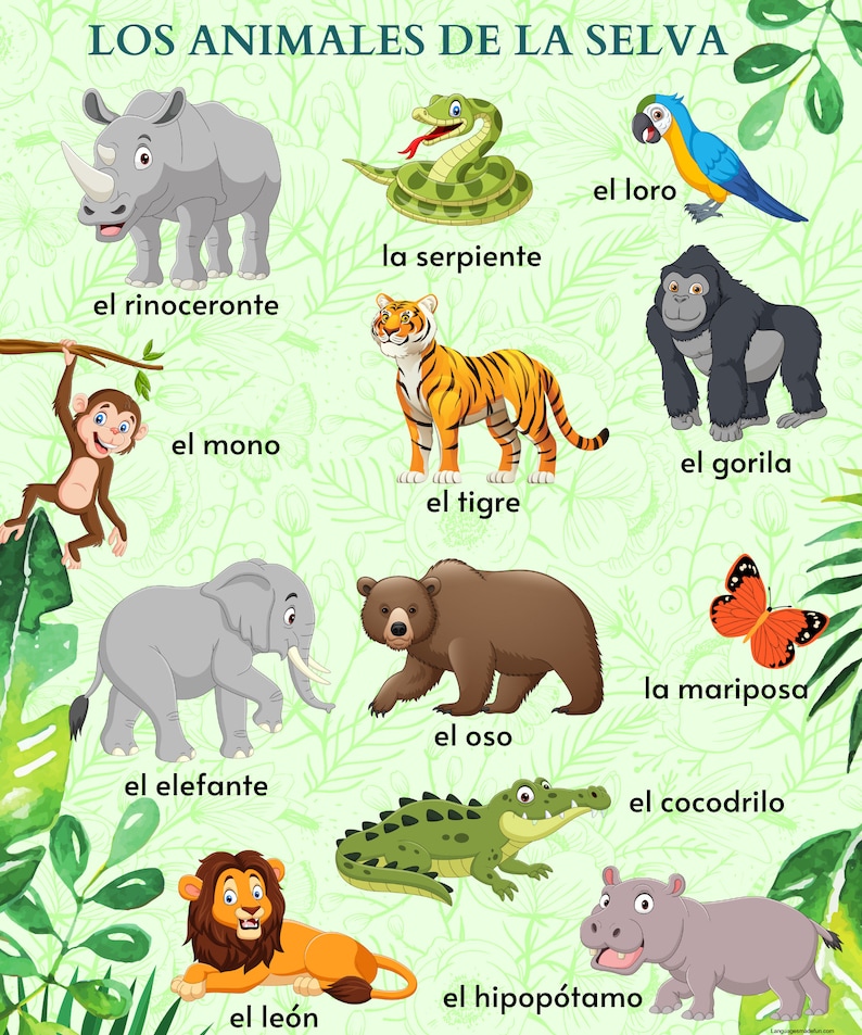 Jungle Animals / French & Spanish Posters/ Educational Wall Posters - Etsy