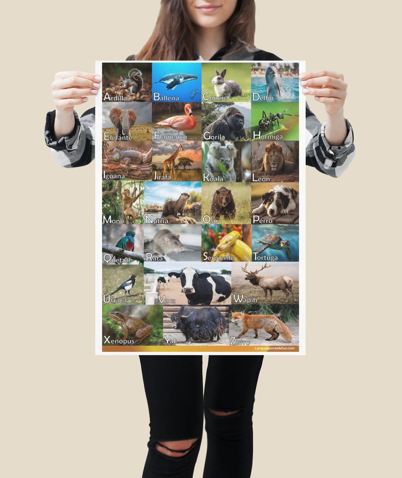 Spanish Abc's Animal Poster/ Classroom Poster / Wall Decor 17x25inches ...