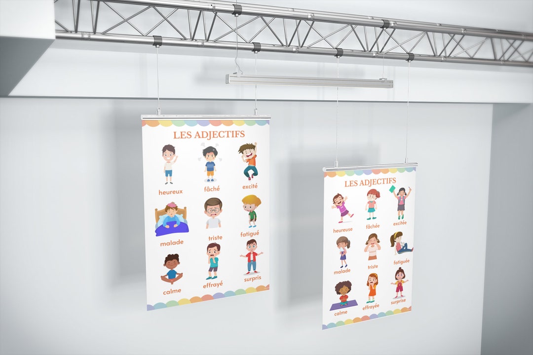 French Adjectives / Wall Posters / Learning / Educational Resource ...
