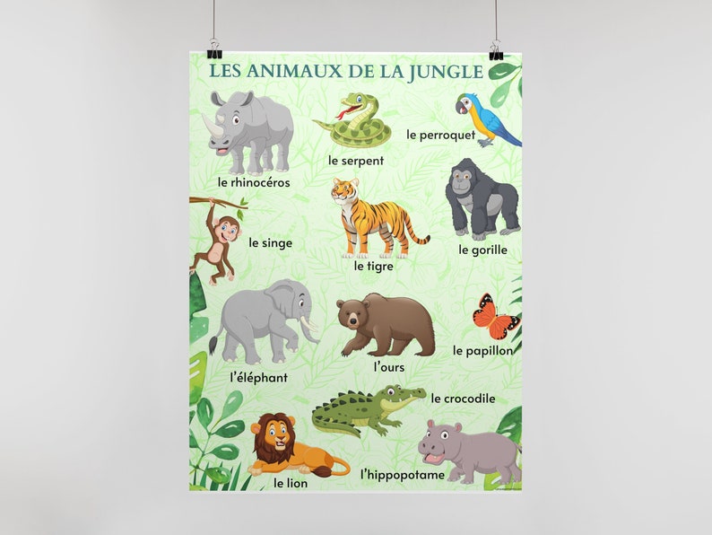Jungle Animals / French & Spanish Posters/ Educational Wall Posters - Etsy