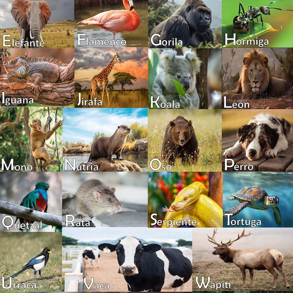 Spanish Poster - Etsy