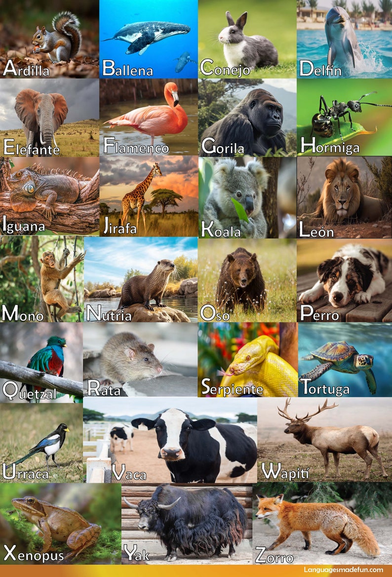 Spanish Abc's Animal Poster/ Classroom Poster / Wall Decor 17x25inches ...