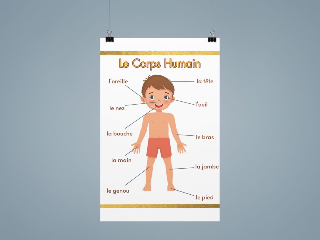 French Body Parts Poster / Kids Learning / Affiches En Francais ...