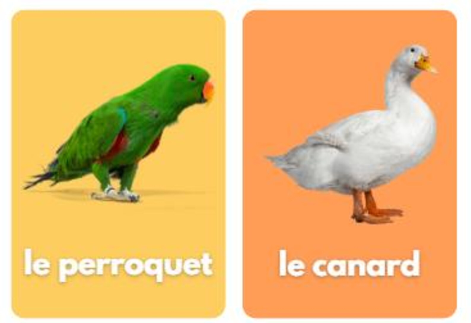 French Animal Flashcards / Printable Flashcards / Learn French ...