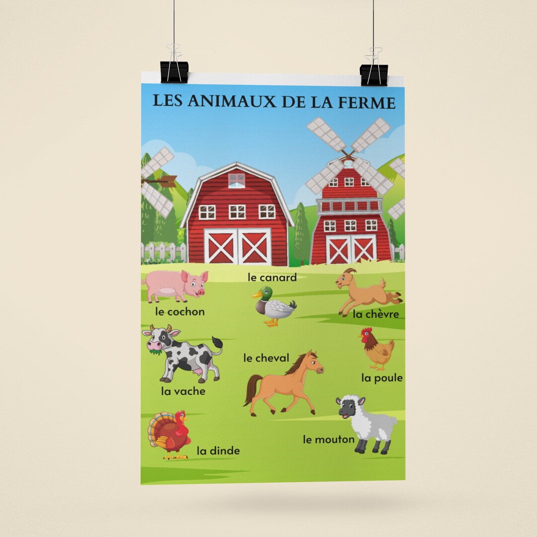 Farm Animals / French & Spanish Posters / Educational Wall - Etsy