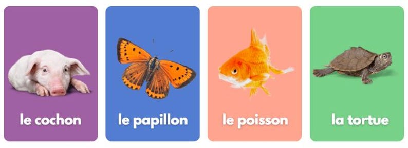 French Animal Flashcards / Printable Flashcards / Learn French ...