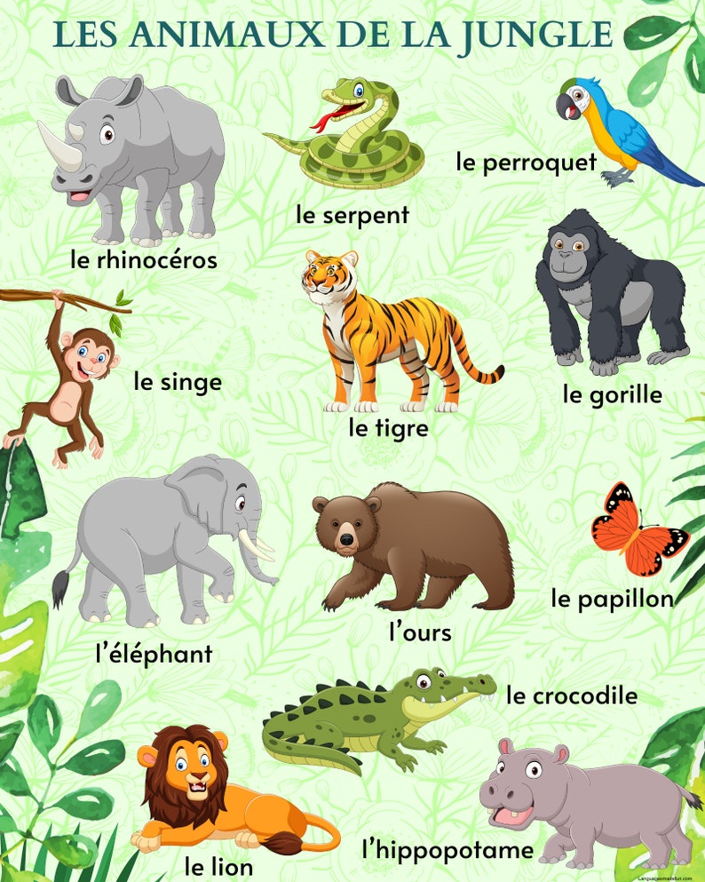 Jungle Animals / French & Spanish Posters/ Educational Wall Posters - Etsy