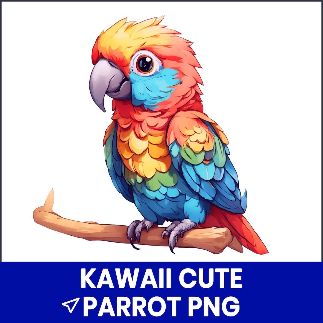 Kawaii Cute Parrot PNG Clipart, Chibi Bird Illustration, Colorful ...