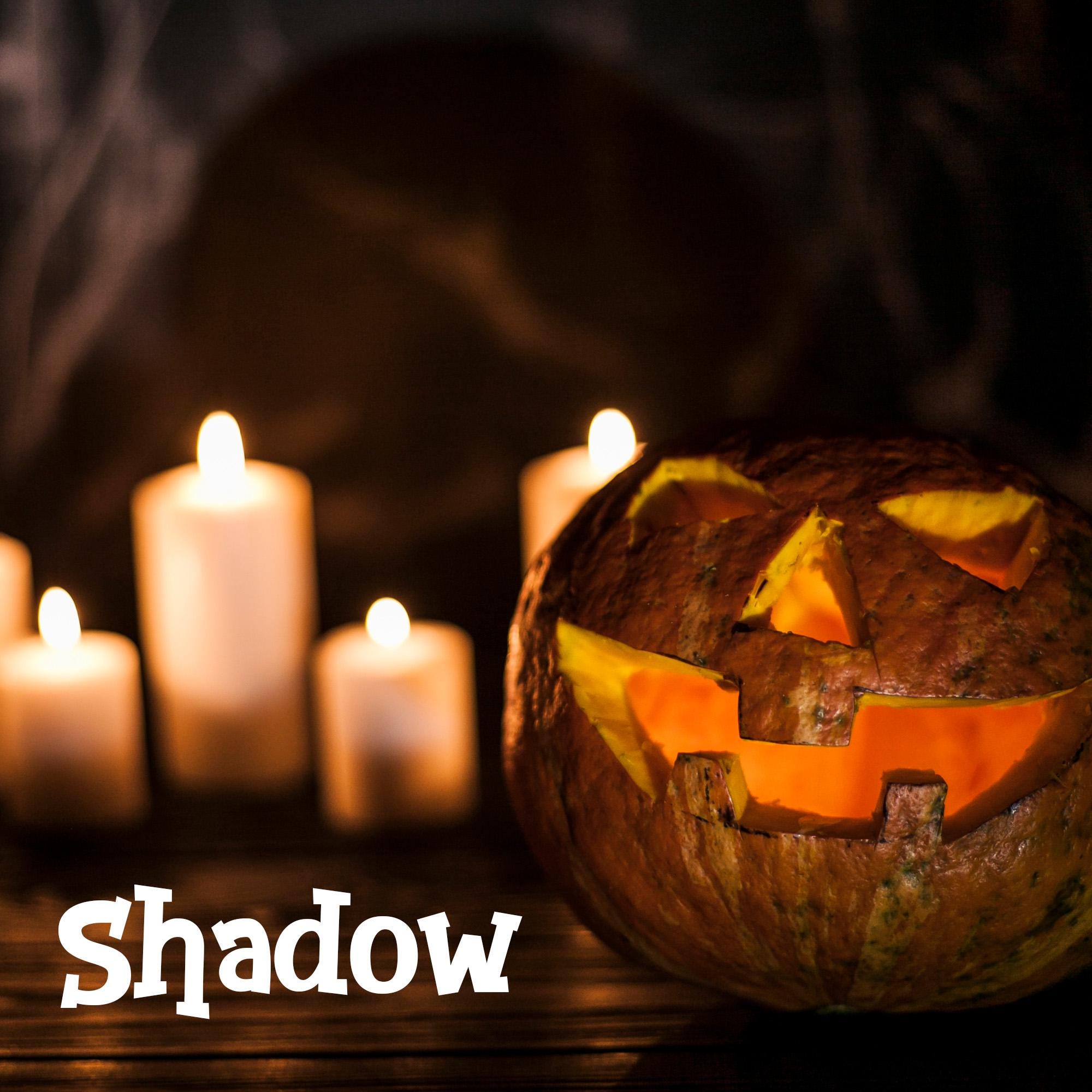 500+ Halloween Font Bundle, Spooky Script, Gothic, Retro Fonts for ...