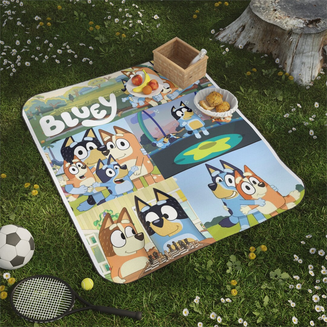 Bluey Picnic Blanket - Etsy
