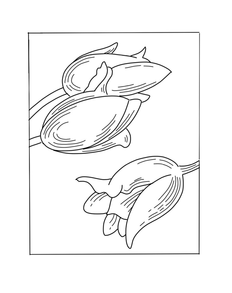 Cute Mice Coloring Pages (2+) Among Tulips and Flowers - Etsy