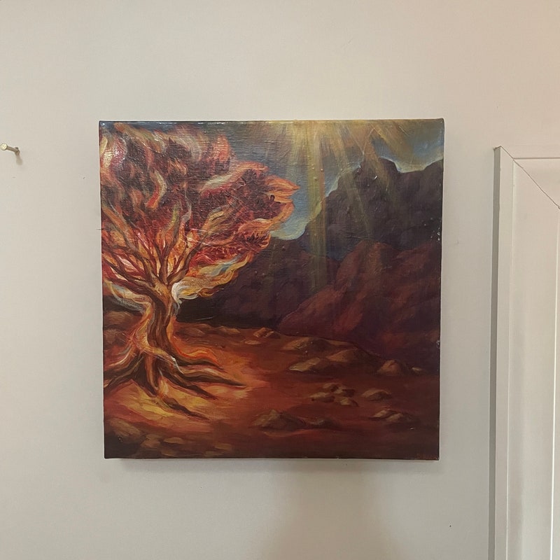 Burning Bush Live Plant - Etsy