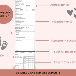 Detailed Mom and Baby Report Sheet, Couplet Care Report , Postpartum ...