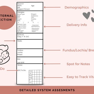 Mom and Baby Report Sheet, Couplet Care Report , Postpartum Nurse, Two ...