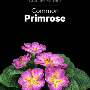 Crochet Primrose Pattern - Crochet Pattern for a Primrose Flower - Etsy