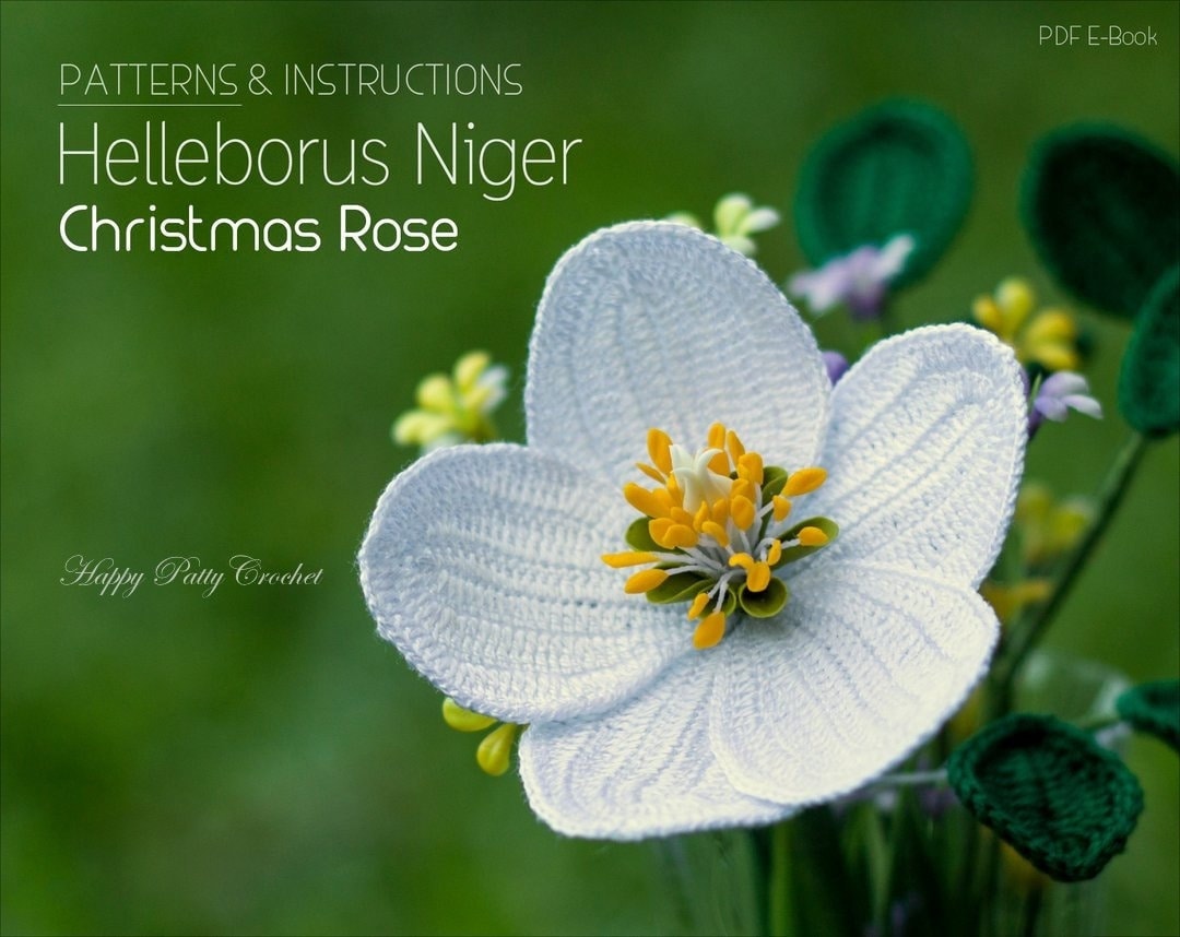 Crochet Christmas Rose Pattern - Helleborus Niger Flower Pattern ...