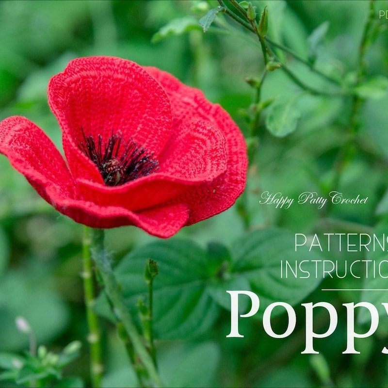 Flanders Poppy - Etsy