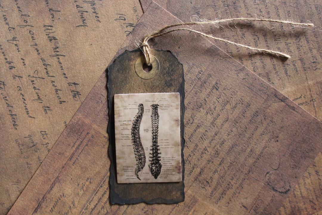 Greys Anatomy Spinal Cord Tag Bookmark Brown Paper Vintage - Etsy