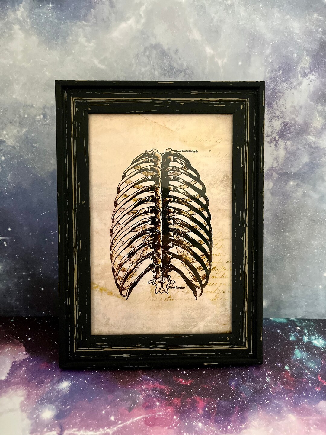 Greys Anatomy Ribs Diagram Frame Detailed Medical. Autopsy, Surgery ...