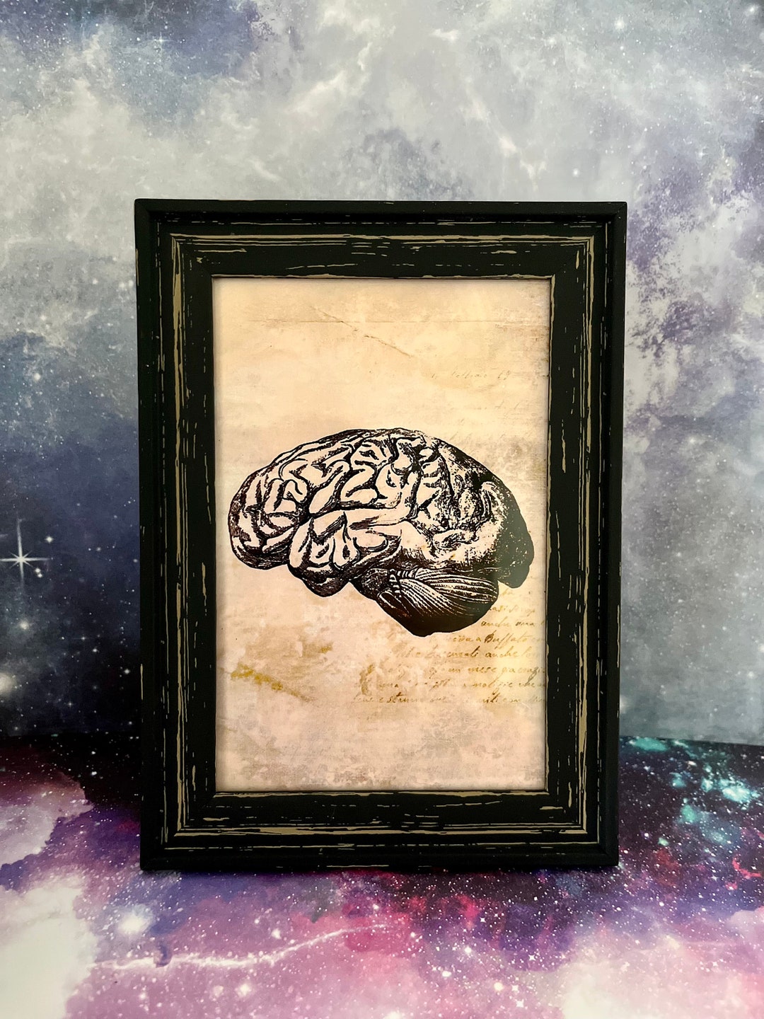 Greys Anatomy Simple Brain Organ Frame Medical Diagram. Autopsy ...