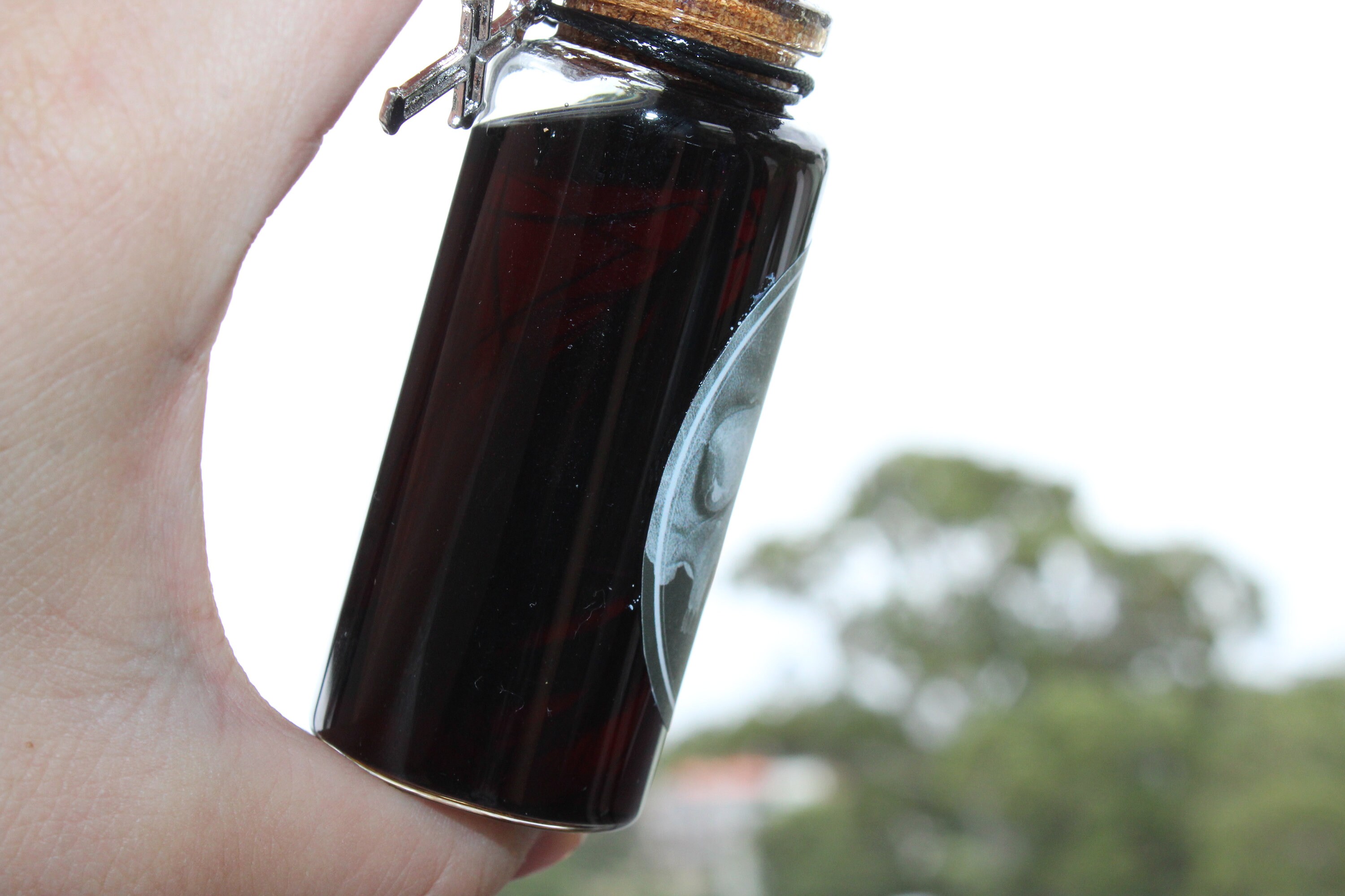 Unique Black Skull Poison Potion Bottle Apothecary Vials. Antique Jars ...