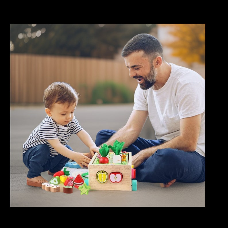 Montessori Wooden Shape Sorter for Toddlers Educational Sorting Toy ...