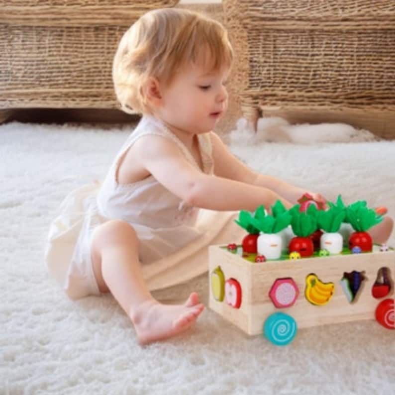 Montessori Wooden Shape Sorter for Toddlers Educational Sorting Toy ...