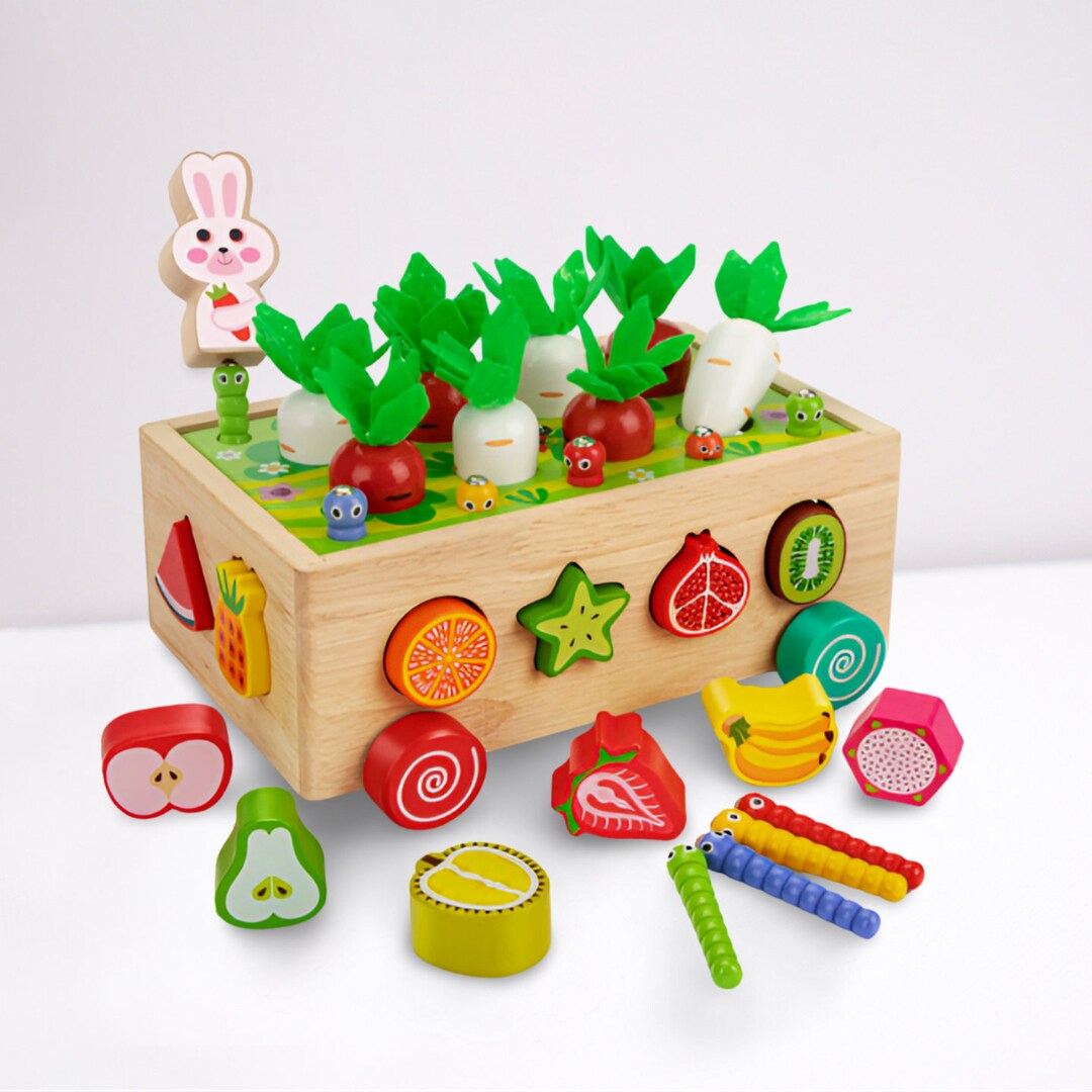 Montessori Wooden Shape Sorter for Toddlers Educational Sorting Toy ...