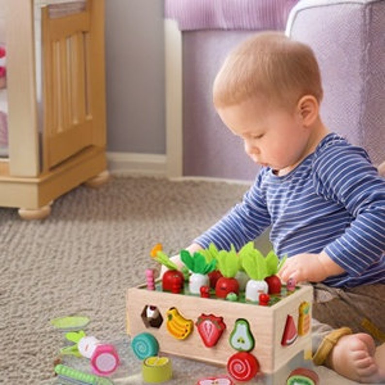 Montessori Wooden Shape Sorter for Toddlers Educational Sorting Toy ...