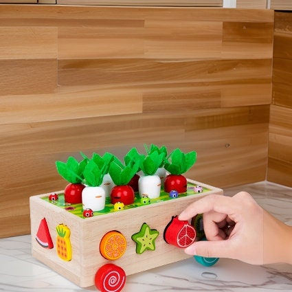 Montessori Wooden Shape Sorter for Toddlers Educational Sorting Toy ...