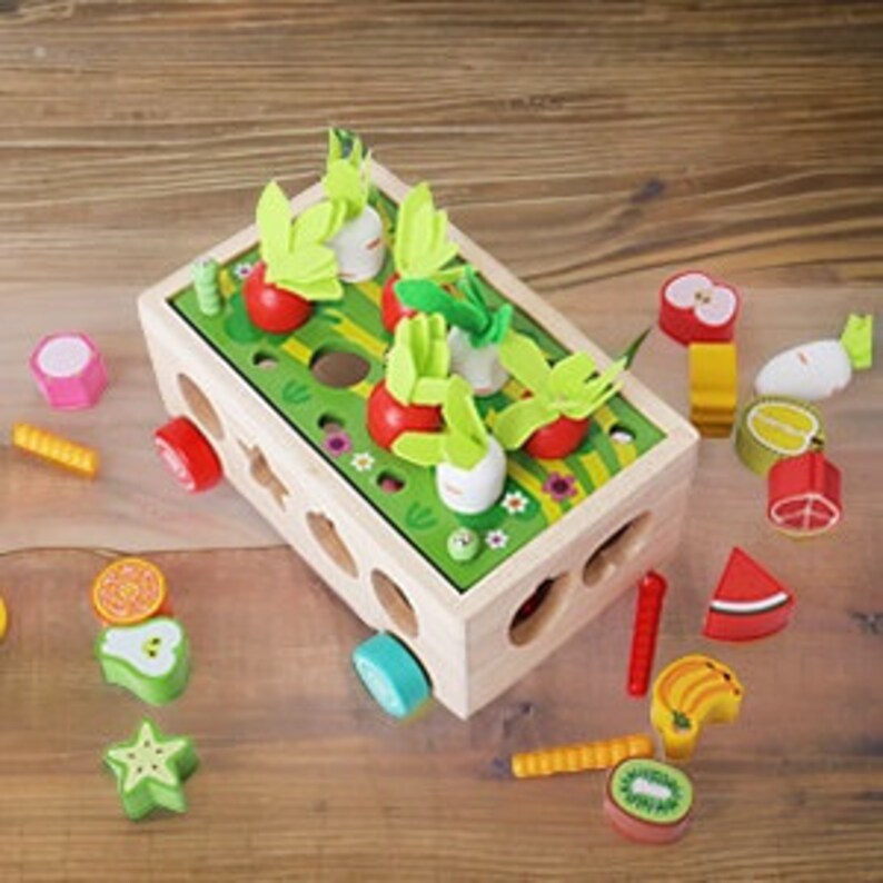 Montessori Wooden Shape Sorter for Toddlers Educational Sorting Toy ...