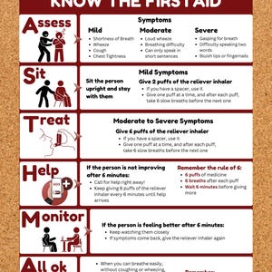 Asthma First Aid Posters—perfect for Classrooms, Homes, and Clinics! - Etsy