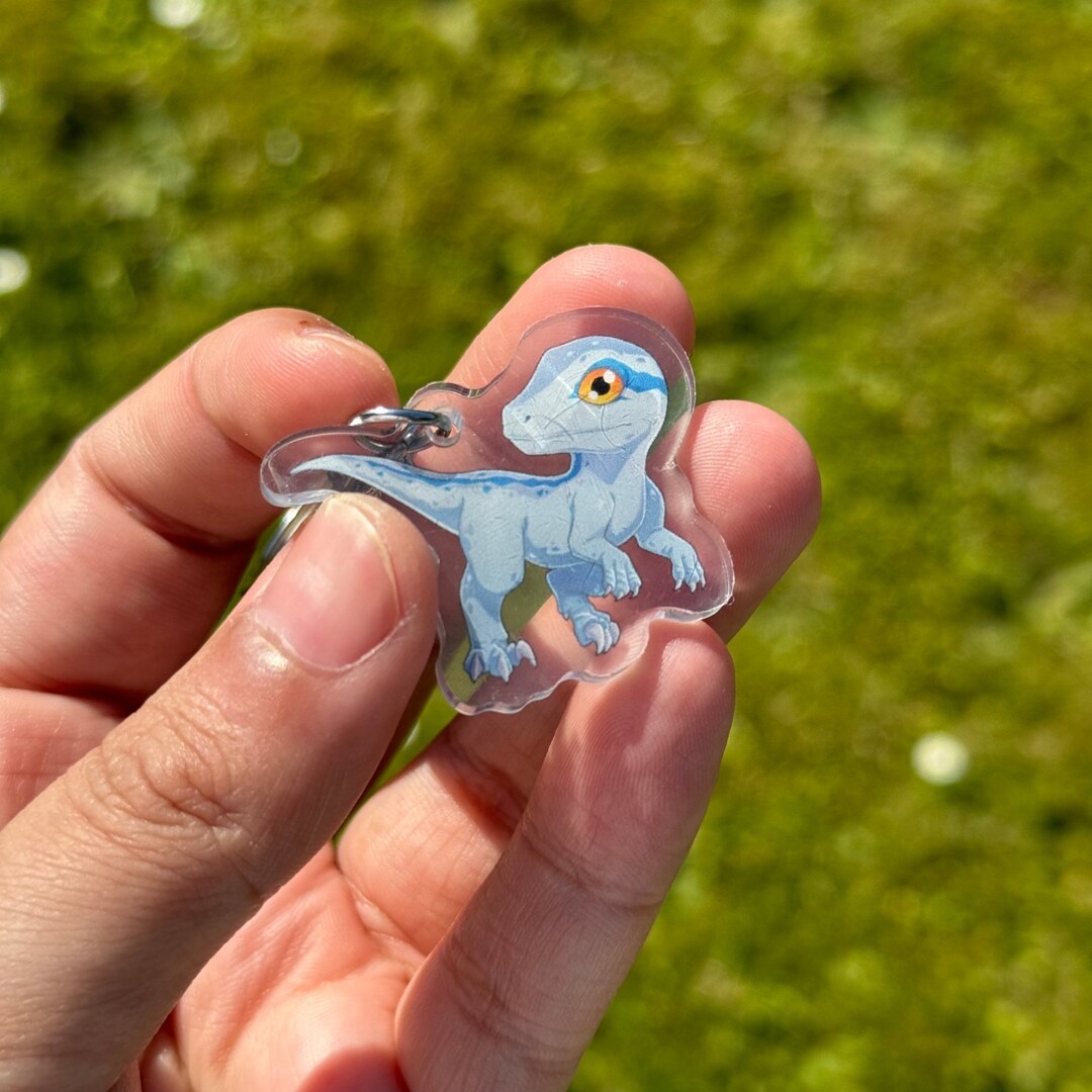 Dinosaur Keyring Keychain, Velociraptor, T Rex, Stegosaurus ...