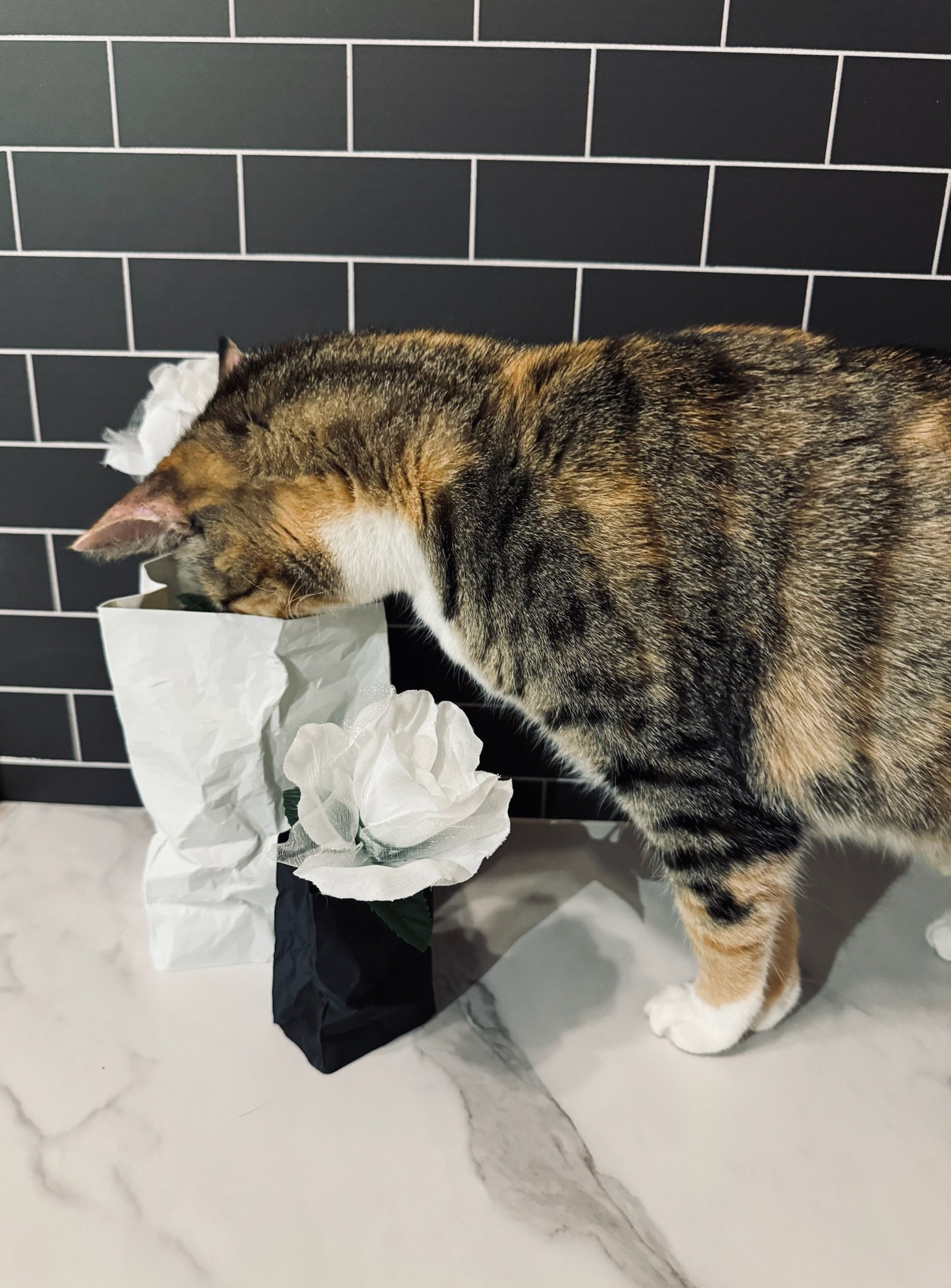 3D Printed Paper Bag Realistic Design for Versatile Use - Etsy