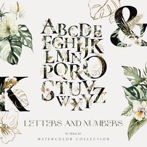 Tropical Alphabet & Numbers Watercolor Clipart Tropical Flowers and ...