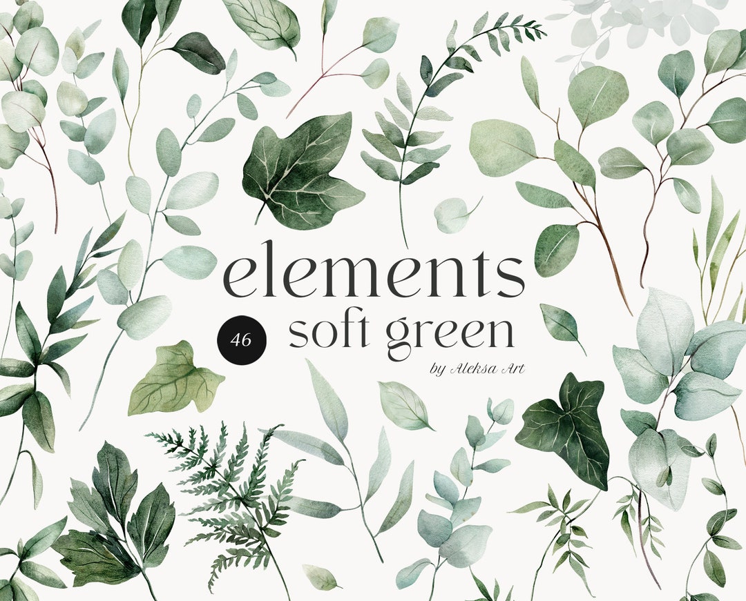 Greenery Watercolor Clipart Eucalyptus Leaves Greenery Elements Diy ...