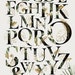 Tropical Alphabet & Numbers Watercolor Clipart Tropical Flowers and ...