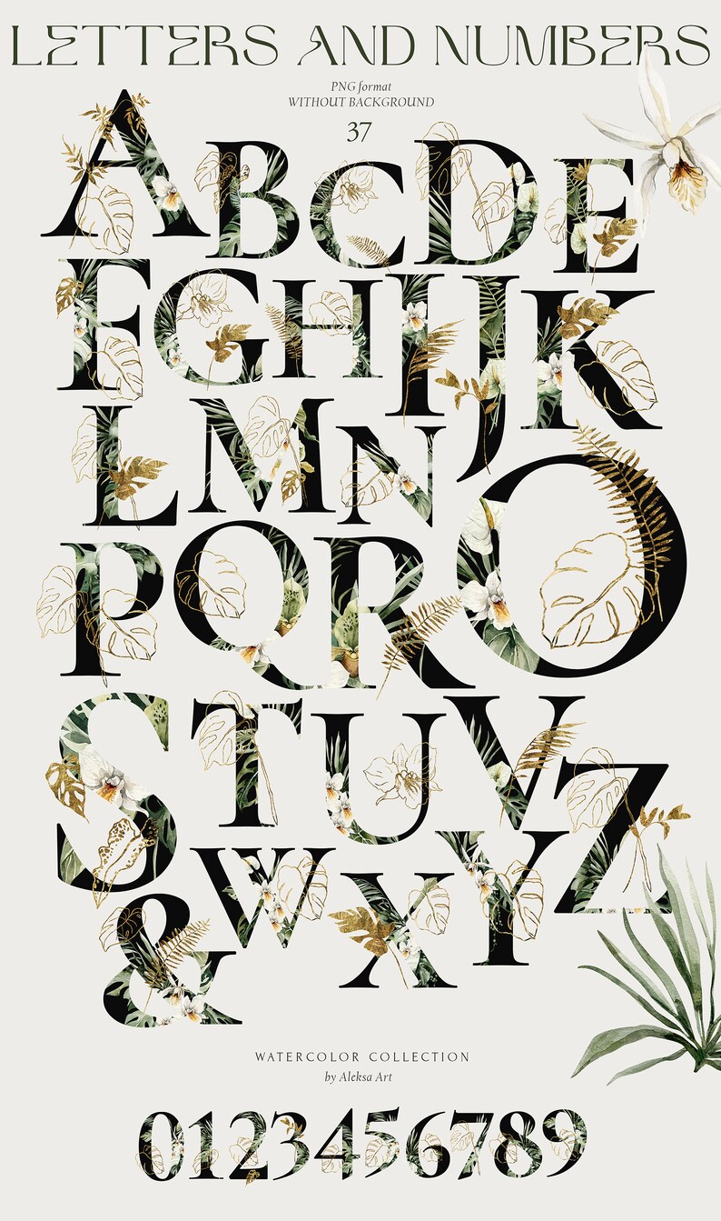 Tropical Alphabet & Numbers Watercolor Clipart Tropical Flowers and ...