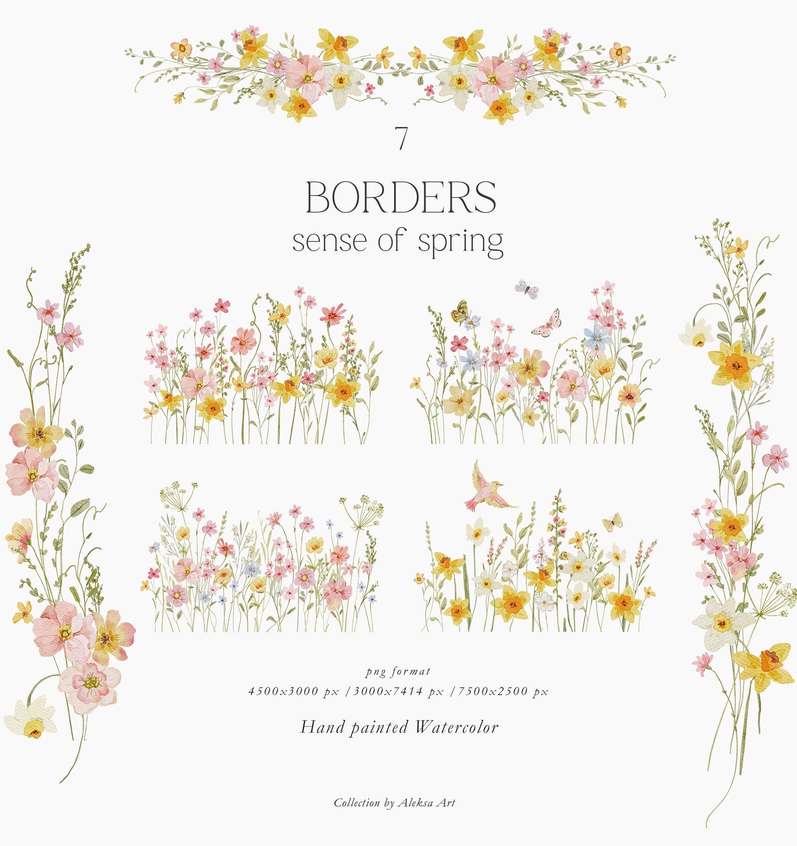 Watercolor Wild Flower Collection of Spring Borders - Wild Flowers Art ...
