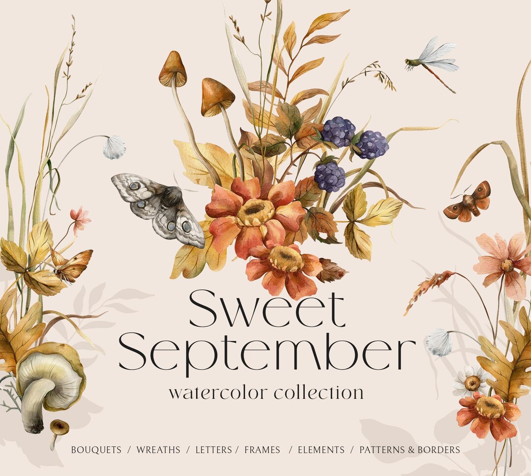 Watercolor Autumn Floral Clipart Png - Watercolor Fall Flowers - Fall ...