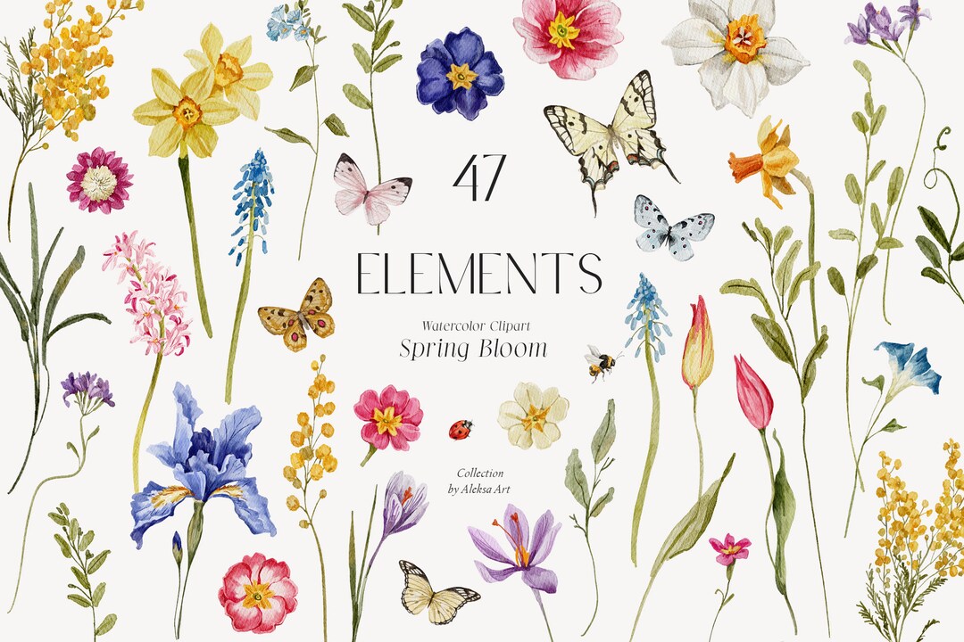 Spring Blooms Clipart Watercolor Wildflowers Elements Tiny Flowers ...