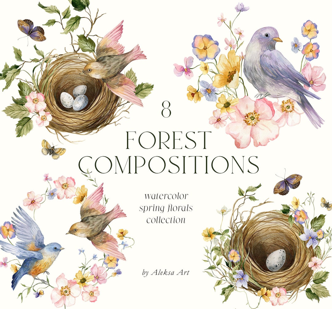 Spring Birds Clipart Watercolor Botanical Floral Arrangement Baby ...