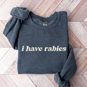 I Have Rabies Funny Hoodie, Unhinged Meme Sweatshirt, Grunge Y2k ...