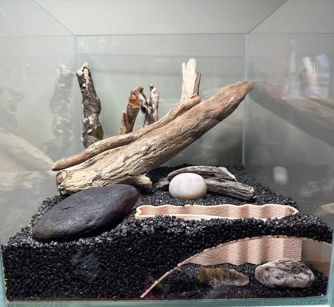 Corner Aquarium Cave and Tunnel in 3 Sizes / the Kribby Kavern - Etsy