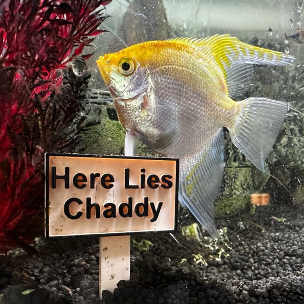 Fish Tank Decor - Etsy