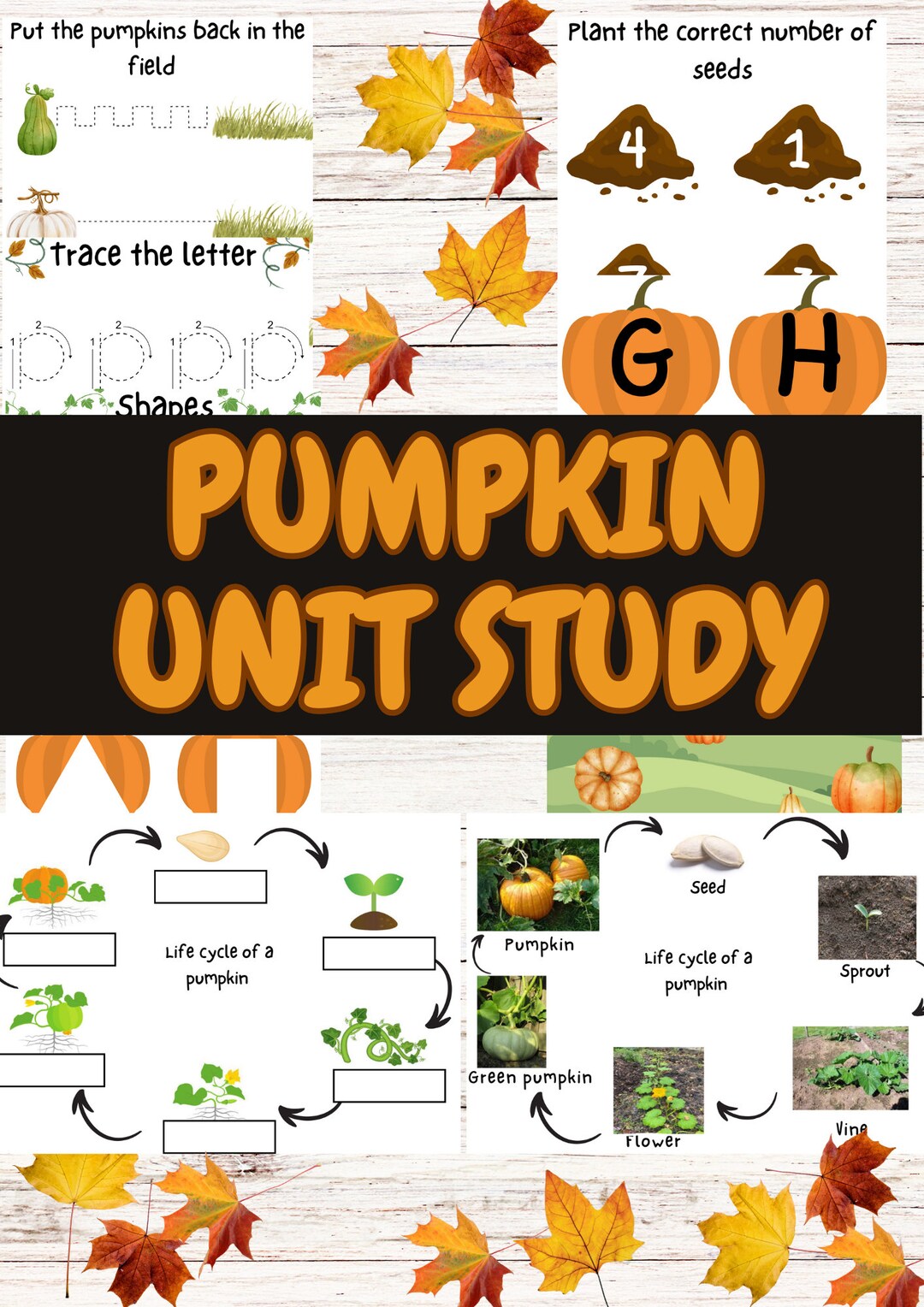 PUMPKIN UNIT STUDY Digital Download | Toddler Learning | Preschool ...